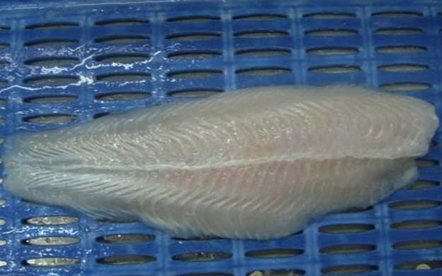 seafood